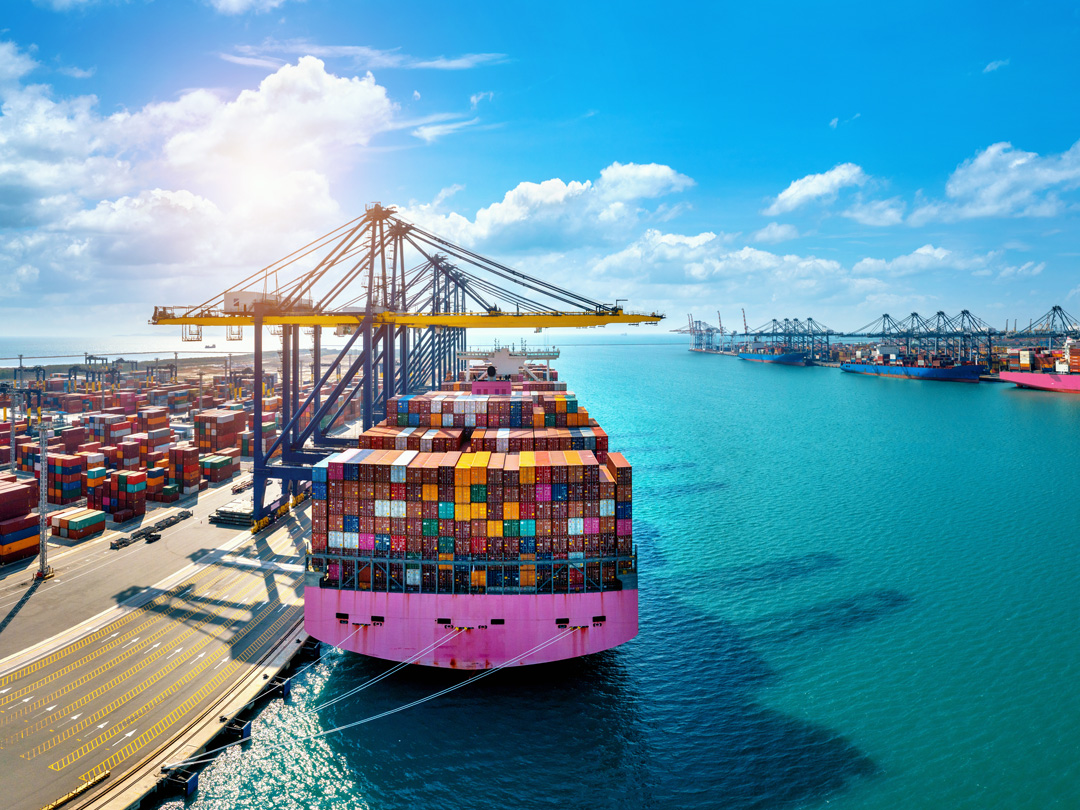 CUSTOMS AND CLEARANCE DEPARTMENT | One God Ltd